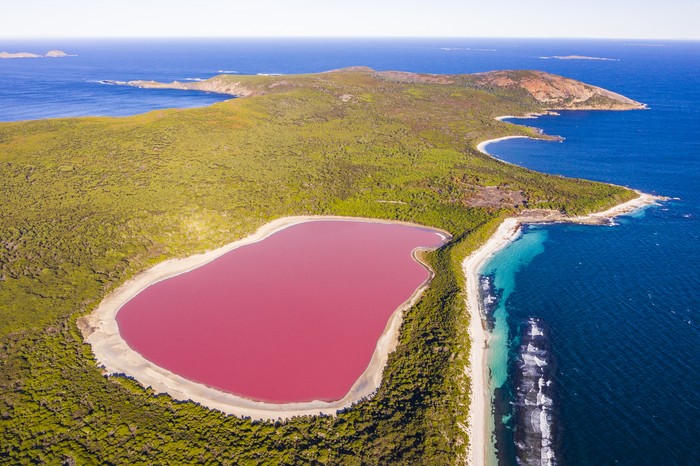 Jangan Lihat Siang-siang, Foto Danau Pink yang Bikin Haus