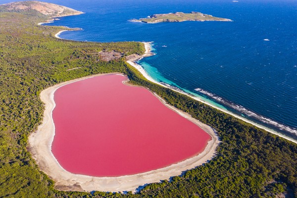 Jangan Lihat Siang-siang, Foto Danau Pink yang Bikin Haus