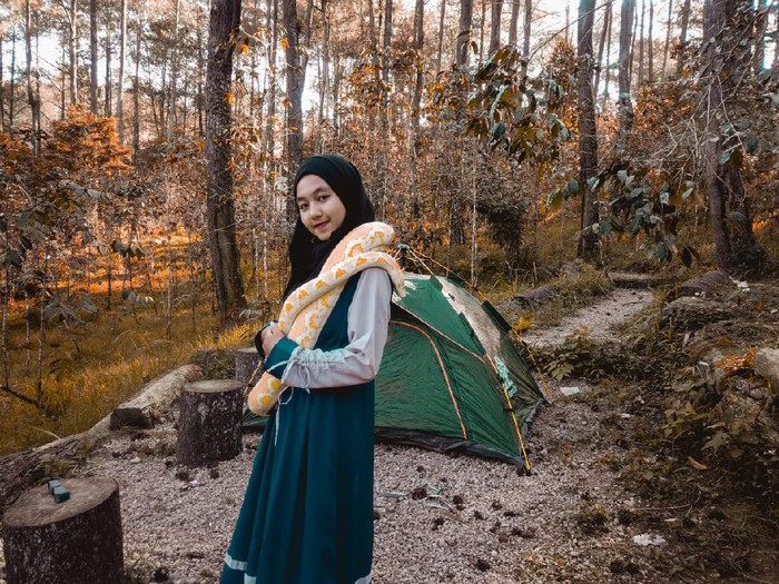Potret Icha dan King Cobra Rambo Sepanjang 4 Meter yang Viral