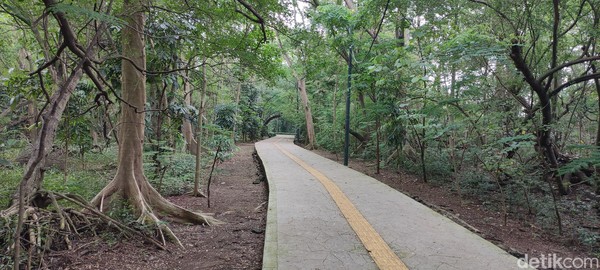 Rupa Hutan Mini Jakarta, Siap Menyambutmu di Libur Lebaran