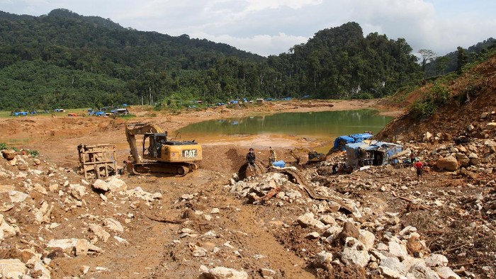 Tambang Emas Ilegal di Sumbar Longsor Renggut 8 Nyawa