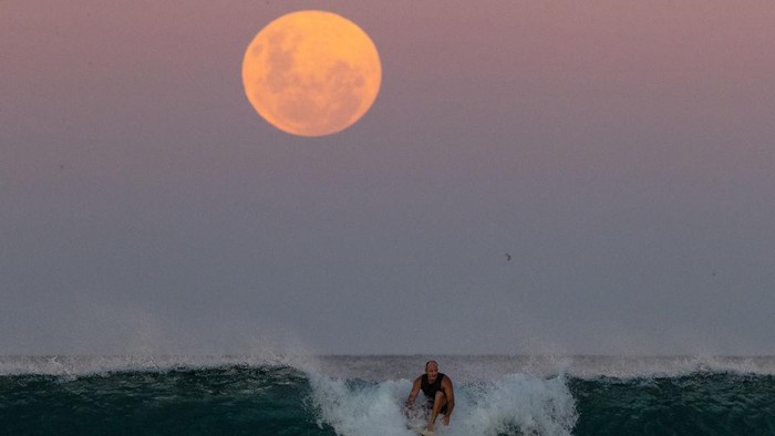 Penampakan Bulan Purnama dari Sydney