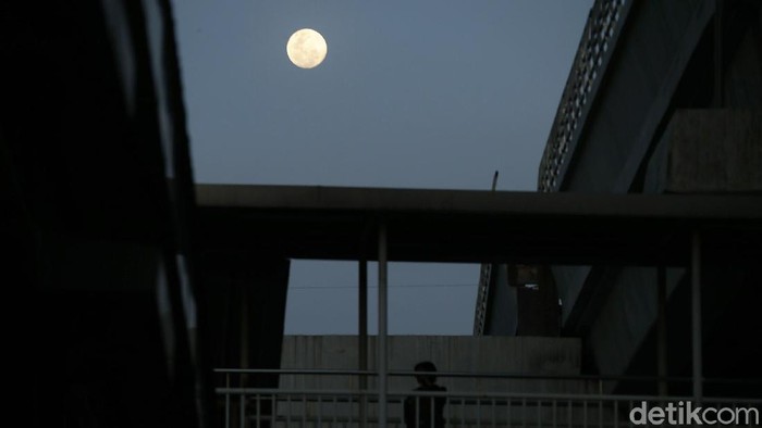 Melihat Keindahan Bulan Saat Sore di Langit Jakarta