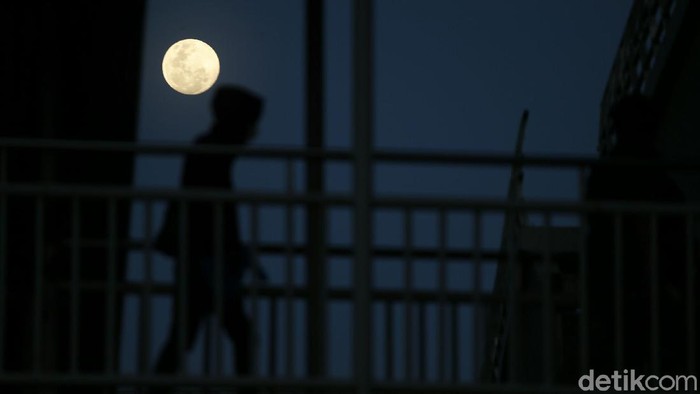 Melihat Keindahan Bulan Saat Sore di Langit Jakarta