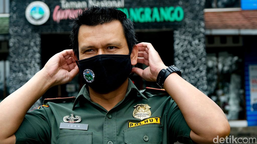 Mengenal Polisi Hutan Sosok Penjaga Paru Paru Dunia