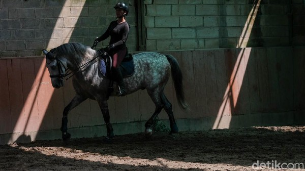 Bisa untuk Isi Liburan, Begini Lho Manfaat Berkuda