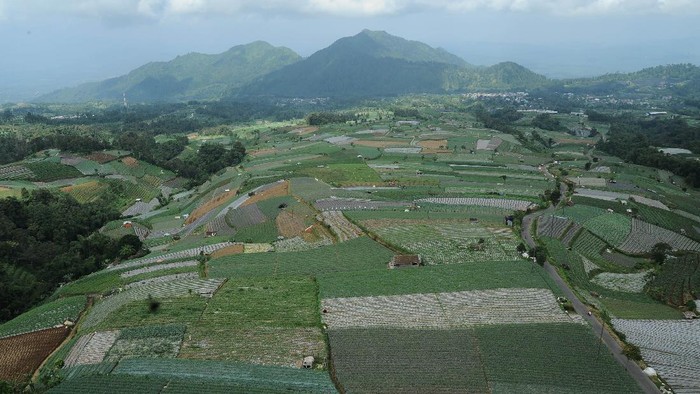 Desa Wisata Nampan Sukomakmur Magelang, Berlatar Gunung Sumbing nan Indah Desa Wisata Nampan Sukomakmur Magelang, Berlatar Gunung Sumbing nan Indah