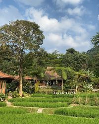 Porter Pengevakuasi Soe Hok Gie- 5 Rekomendasi Wisata Sentul