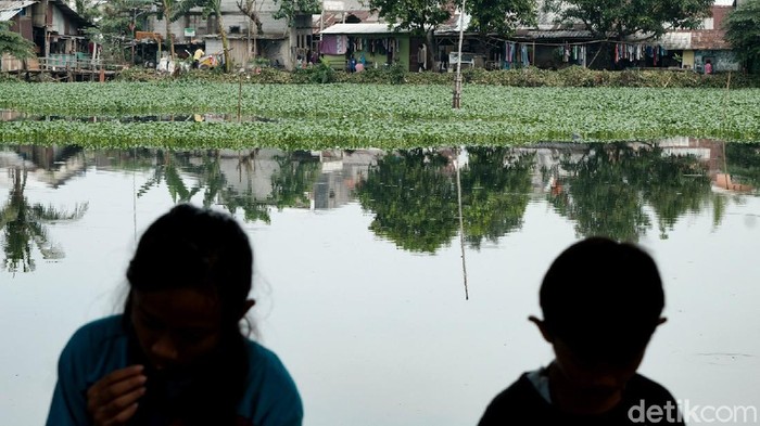 Penampakan Setu Rompong Tangsel yang Dipenuhi Eceng Gondok