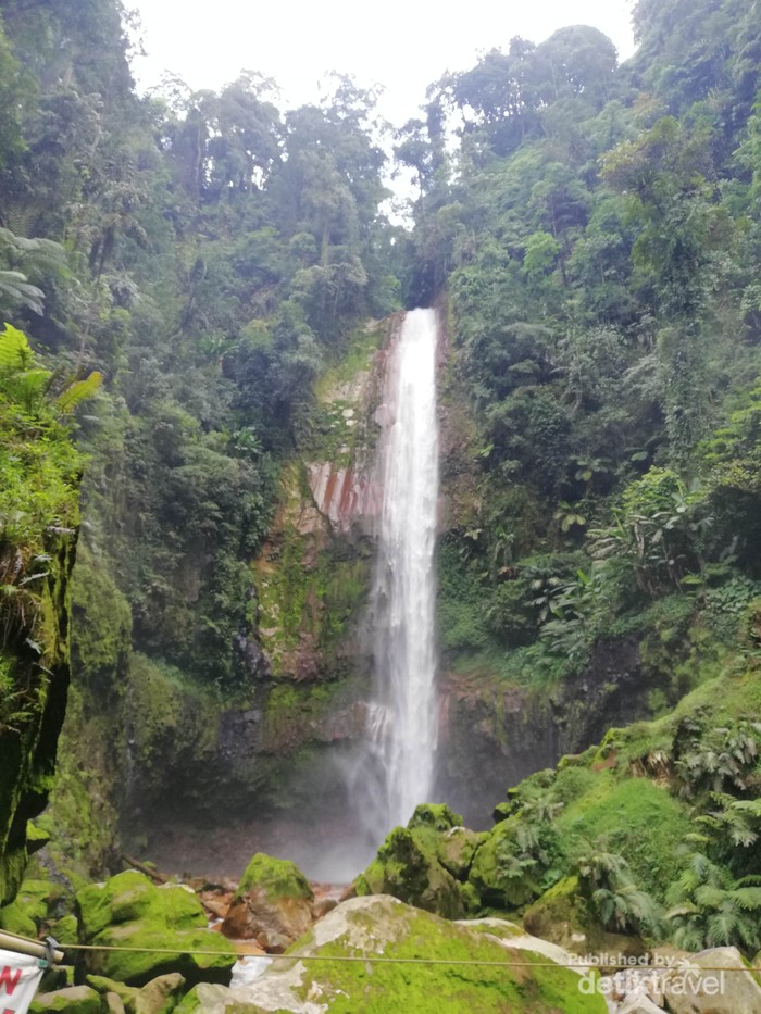 Menyambangi Curug Seribu, Permata di TN Gunung Halimun Salak