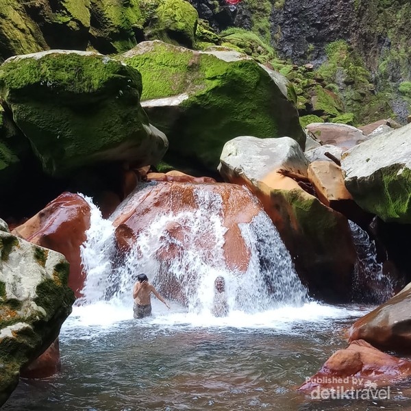 Menyambangi Curug Seribu, Permata di TN Gunung Halimun Salak