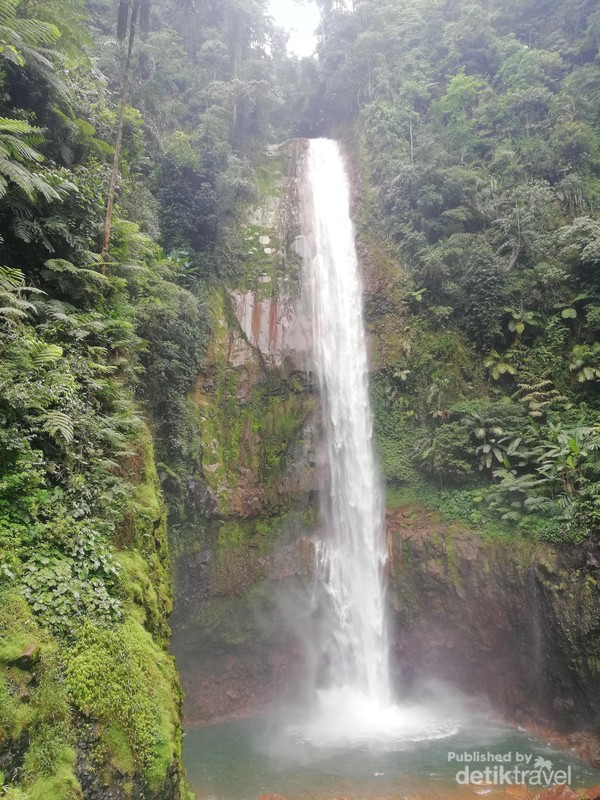 Menyambangi Curug Seribu, Permata di TN Gunung Halimun Salak