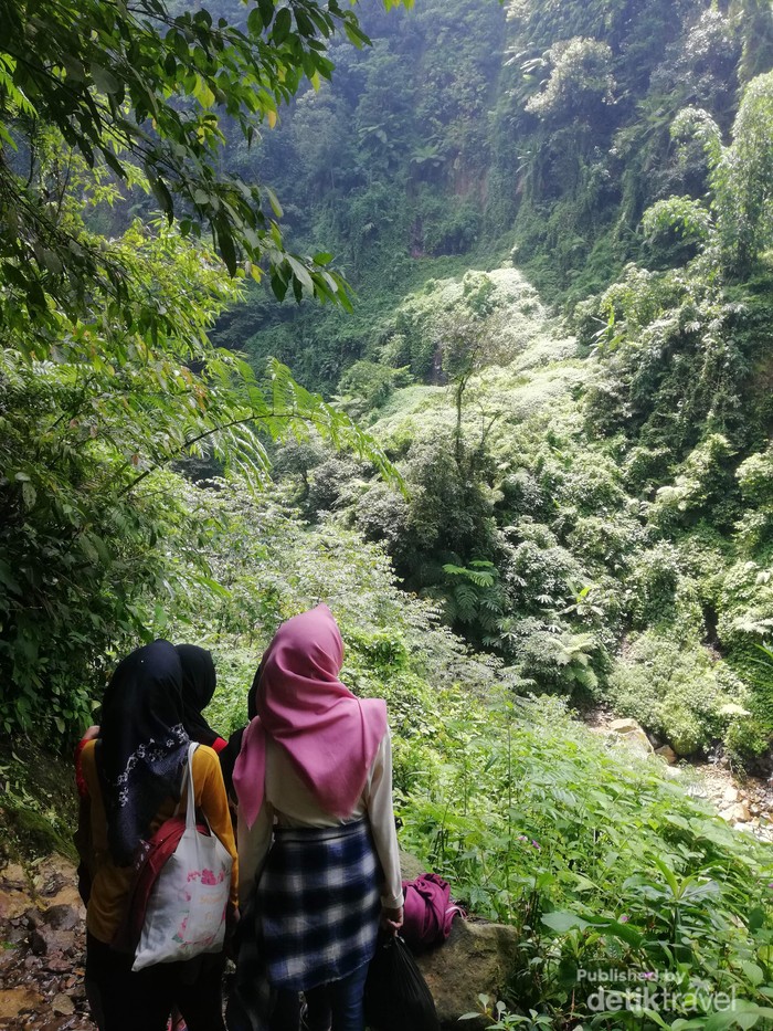 Menyambangi Curug Seribu, Permata di TN Gunung Halimun Salak