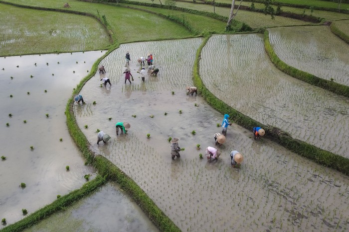 Lihat Lagi Desa Tetebatu Akan jadi Desa Wisata Dunia