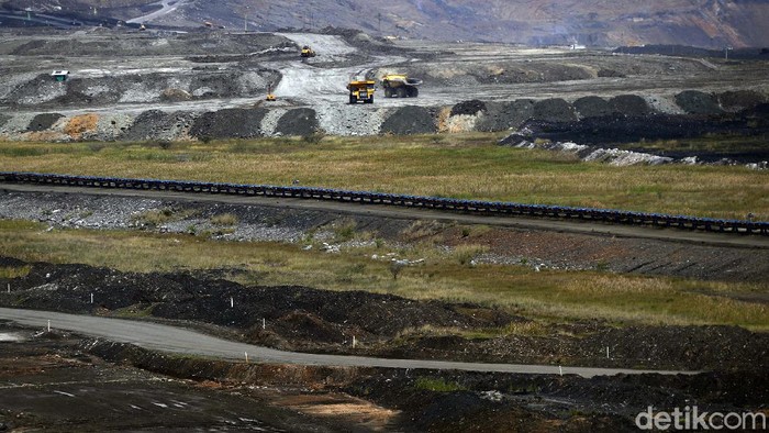 Ada di Sumsel, Tambang Batu Bara Ini Punya Cadangan 3 Miliar Ton
