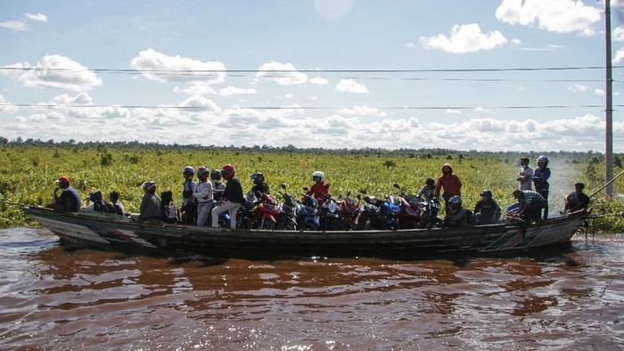 Sungai Kahayan Meluap, Jalan Trans Kalimantan Terendam Banjir Sungai Kahayan Meluap, Jalan Trans Kalimantan Terendam Banjir