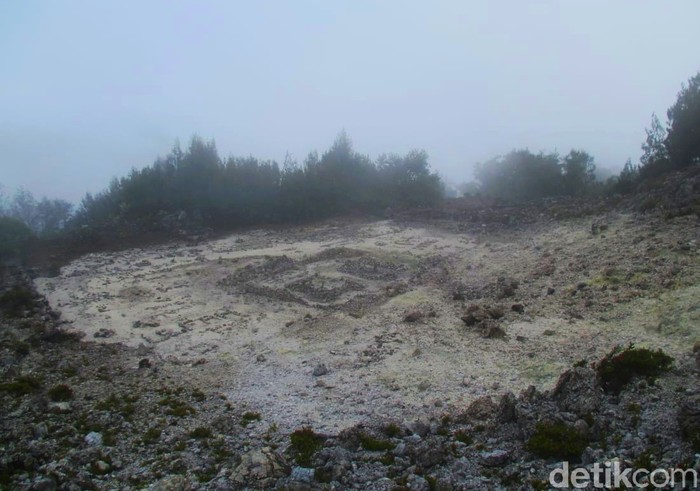 Foto: Gunung Argopuro, Trek Pendakian Terpanjang di Jawa