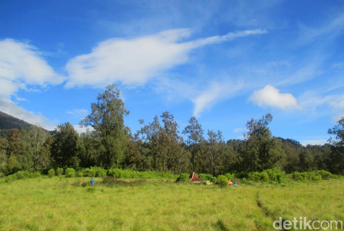 Foto: Gunung Argopuro, Trek Pendakian Terpanjang di Jawa