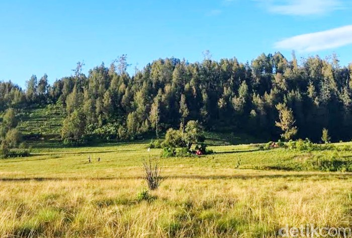 Foto: Gunung Argopuro, Trek Pendakian Terpanjang di Jawa