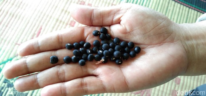 Sup Kacang Gude Spesial di Lereng Gunung Merbabu