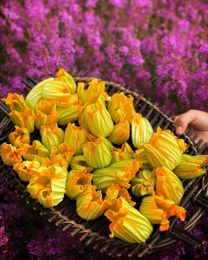 Begini Suasana dan Menu di Noma, Restoran Terbaik di Dunia 2021