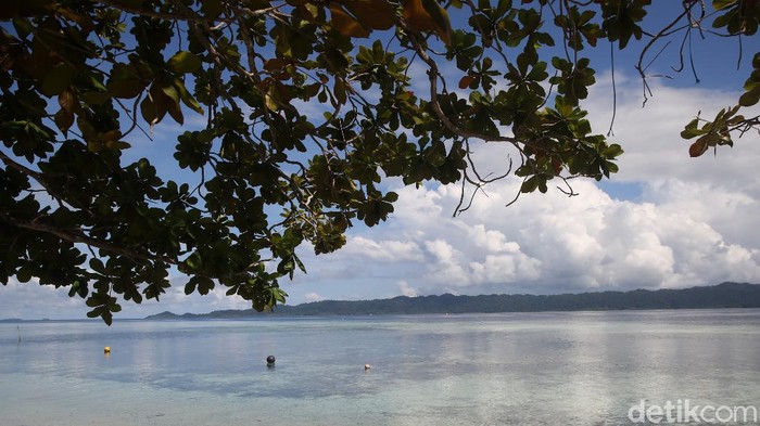 Terhipnotis Keindahan Desa Wisata Arborek