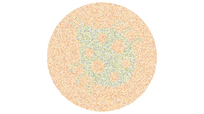 Uji Penglihatan, Cek Apakah Kamu Buta Warna dengan Menebak Gambar Ini