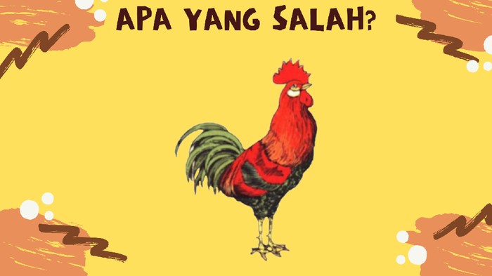 Tes IQ, Bisakah Kamu Menemukan Kesalahan di Gambar Ini? Tes IQ, Bisakah Kamu Menemukan Kesalahan di Gambar Ini?