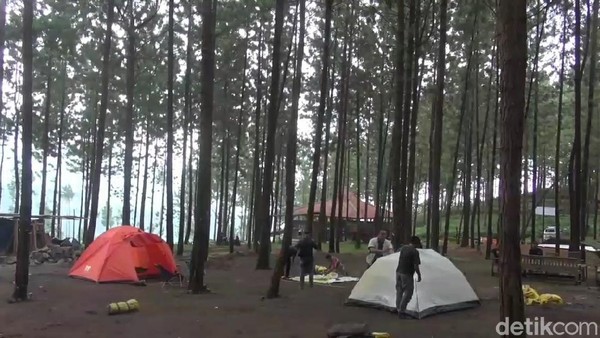 Foto: Tempat Kemping Berhawa Sejuk di Kaki Gunung Slamet