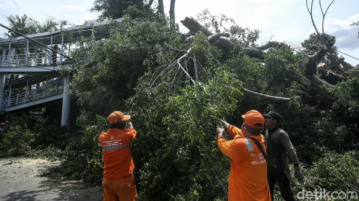 Brak! Dua Pohon di Jaktim Tumbang dan Timpa JPO-Tiang Listrik