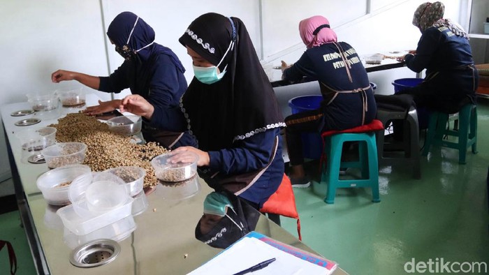 Kiprah Eti Sumiati, Petani Bandung yang Sukses Bawa Kopi Kamojang Mendunia