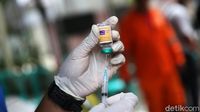 Dinas Pertanian Siapkan 650 Ribu Vaksin Anti Rabies pada 2023