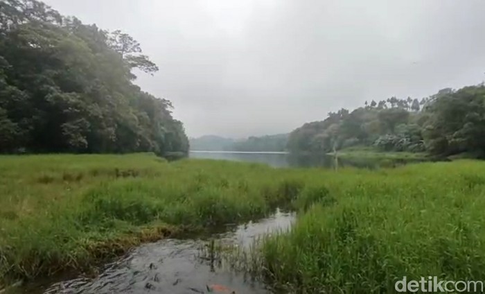 Telaga Ranjeng Berisi Ribuan Ikan Jinak, Tapi Tak Ada yang Berani Ambil