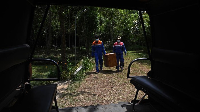 Kepak Sayap Elang Jawa di Hutan Kamojang