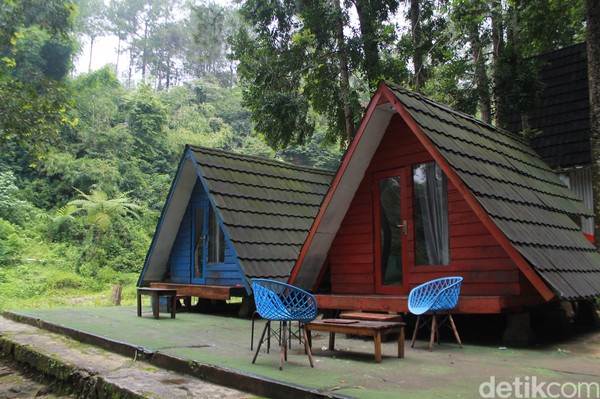 Rekomendasi Lokasi Camping di Bogor: Bumi Perkemahan Citamiang