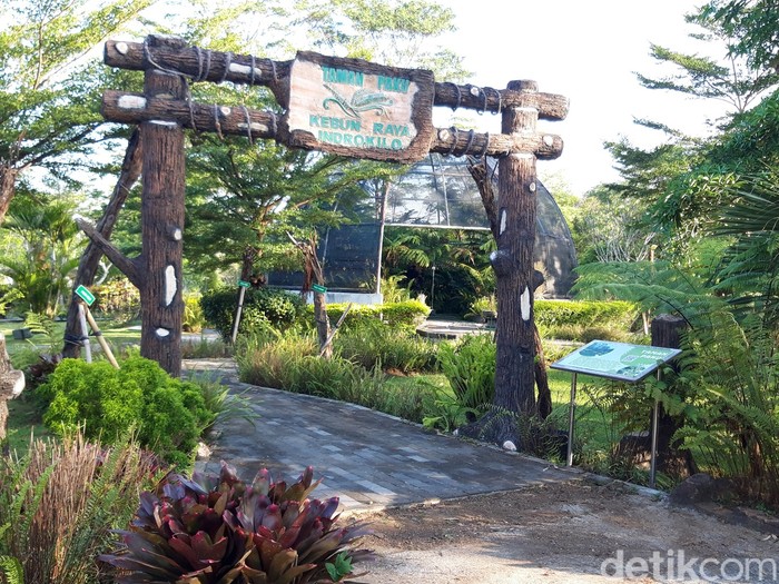 Potret Kebun Raya Terbaik di Indonesia 2023, Punya Taman Labirin