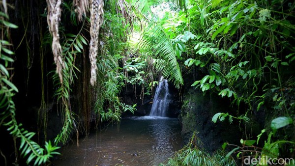 Terpesona dengan Tetebatu, Desa Wisata Terindah Dunia!