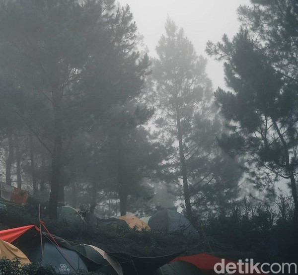 Kemping Instagrammable? Perkemahan Paseban Tempatnya