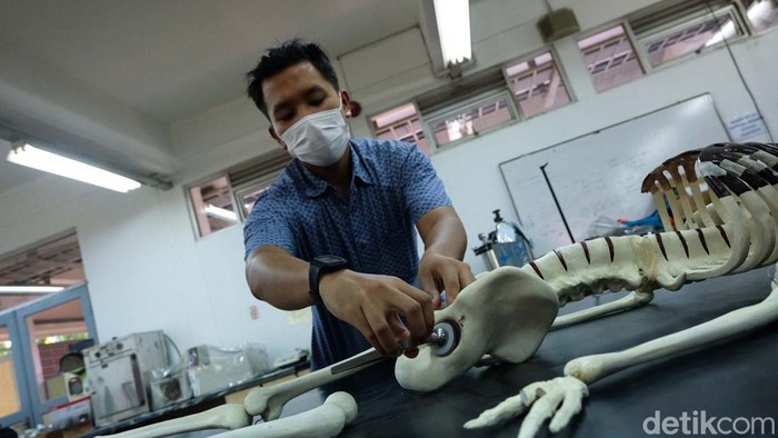 BRIN Kembangkan Implan Pengganti Sendi Buatan dalam Negeri