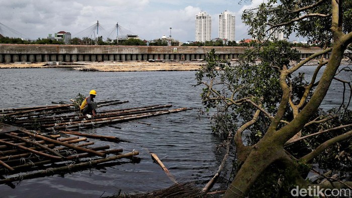 Progres Terkini Pembangunan Tanggul Laut di Pesisir Jakarta