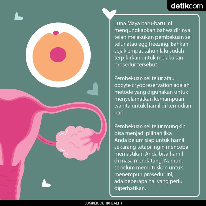 Serba-serbi Pembekuan Sel Telur Seperti Dilakukan Luna Maya