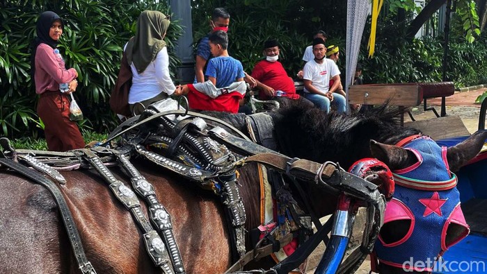 Potret Kusir Delman Berburu Rezeki di Kawasan Monas