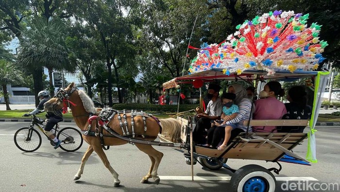 Potret Kusir Delman Berburu Rezeki di Kawasan Monas