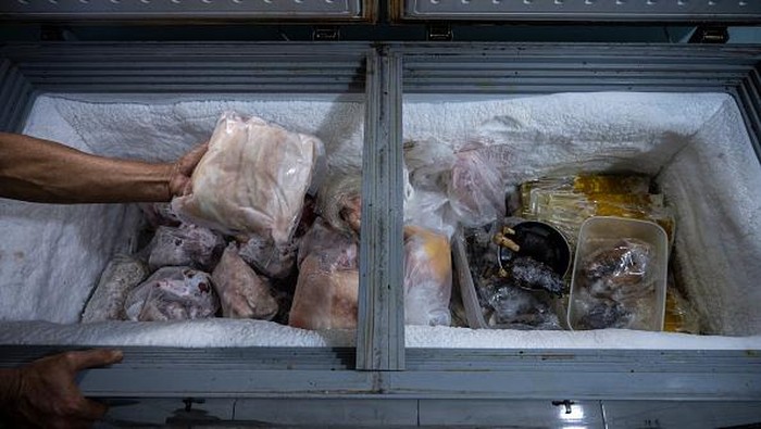 Daging Buaya Laris Manis di Thailand, Begini Lho Peternakannya