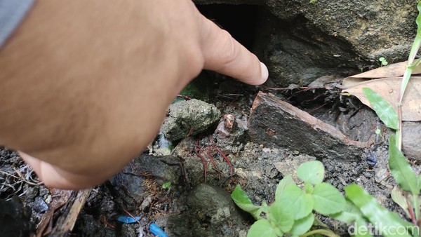 Potret Bunker Berusia 250 Tahun di Rangkasbitung, Kokoh tapi Tak Terawat