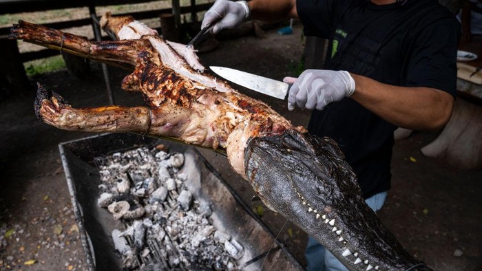 Berani Coba? Olahan Daging Buaya yang Lagi Hits di Thailand - Foto 5