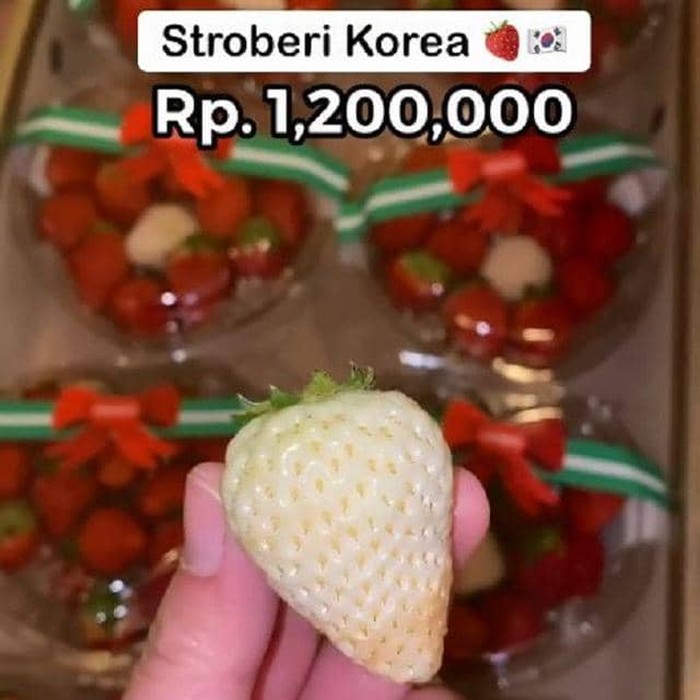 10 Kreasi Makanan Sisca Kohl Ini Harganya Bikin Kantong Menjerit