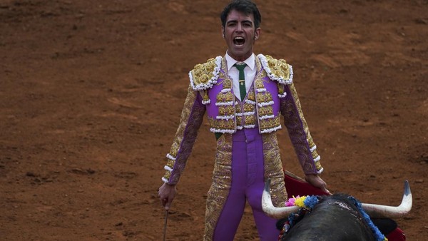 Aksi Matador Jatuh Bangun Taklukkan Banteng di Meksiko