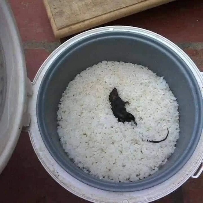 Nyesek! 10 Tragedi Ini Bikin Jadi Tak Nafsu Makan