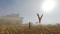 Impor Beras-Gandum RI Maret Melonjak Tinggi, Ini Datanya